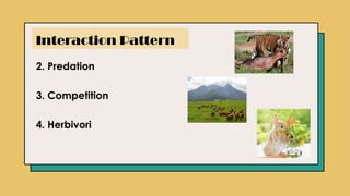 ECOSYSTEM Interaction Science Grade 8 - 2024.pptx