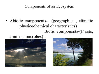 ECOSYSTEM.pptx science class 4 to std 12 | PPTX