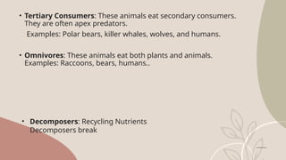 Ecosystem, What Are They and How Do They Work.pptx