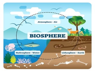 An ecosystem is a system comprised of living organisms (biotic factors ...