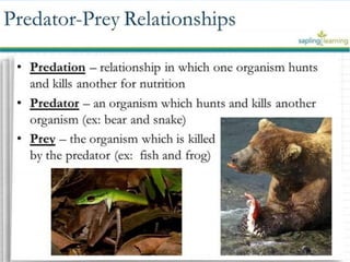 An ecosystem is a system comprised of living organisms (biotic factors ...