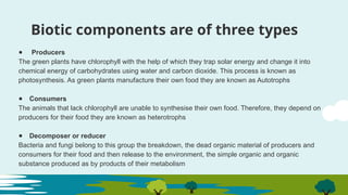 Overview and the functions of ecosystem | PPTX
