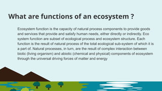 Overview and the functions of ecosystem | PPTX