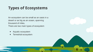 Overview and the functions of ecosystem | PPTX