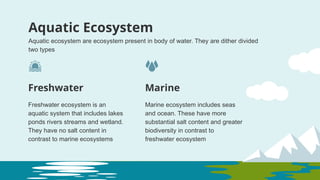 Overview and the functions of ecosystem | PPTX