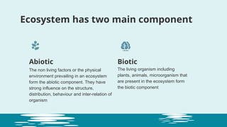 Overview and the functions of ecosystem | PPTX