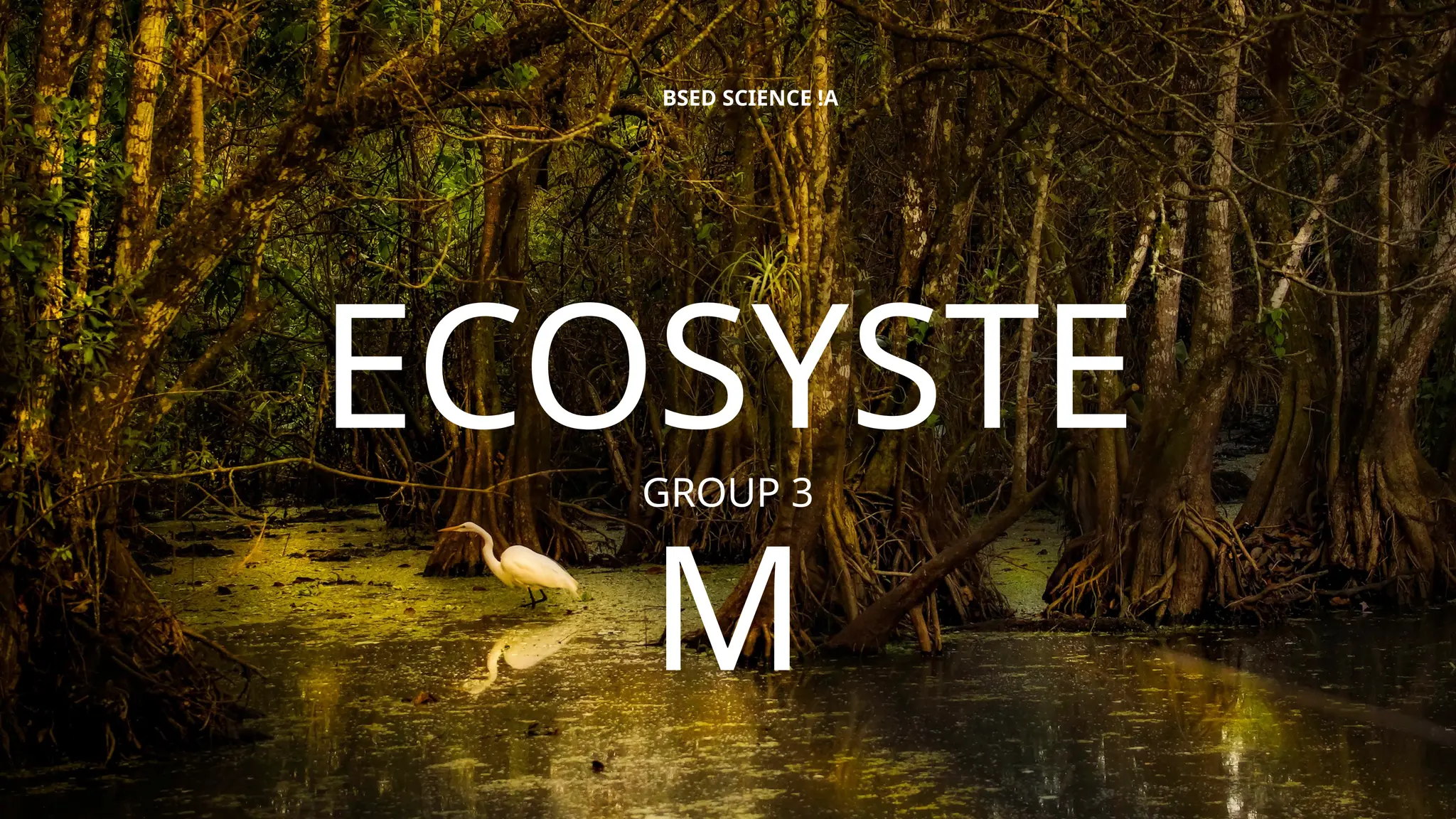 INTRODUCTION OF ECOSYSTEM (ENVIRONMENTAL SCIENCE).pptx