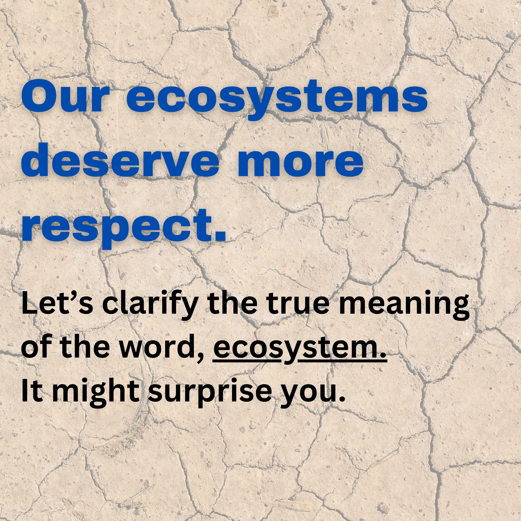 What is a real ecosystem? And how can you respect nature? | PDF