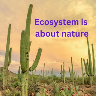 What is a real ecosystem? And how can you respect nature? | PDF