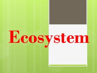 Ecosystem. Science Grade 6. Discussions about the Ecosystem pptx | PPTX