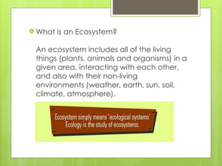 Ecosystem. Science Grade 6. Discussions about the Ecosystem pptx | PPTX