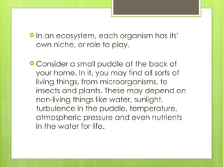 Ecosystem. Science Grade 6. Discussions about the Ecosystem pptx | PPTX