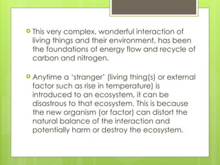 Ecosystem. Science Grade 6. Discussions about the Ecosystem pptx | PPTX