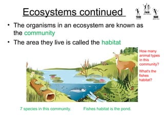 ecosystem.pptx ecosystem. ecosystem. ecosystem | PPTX