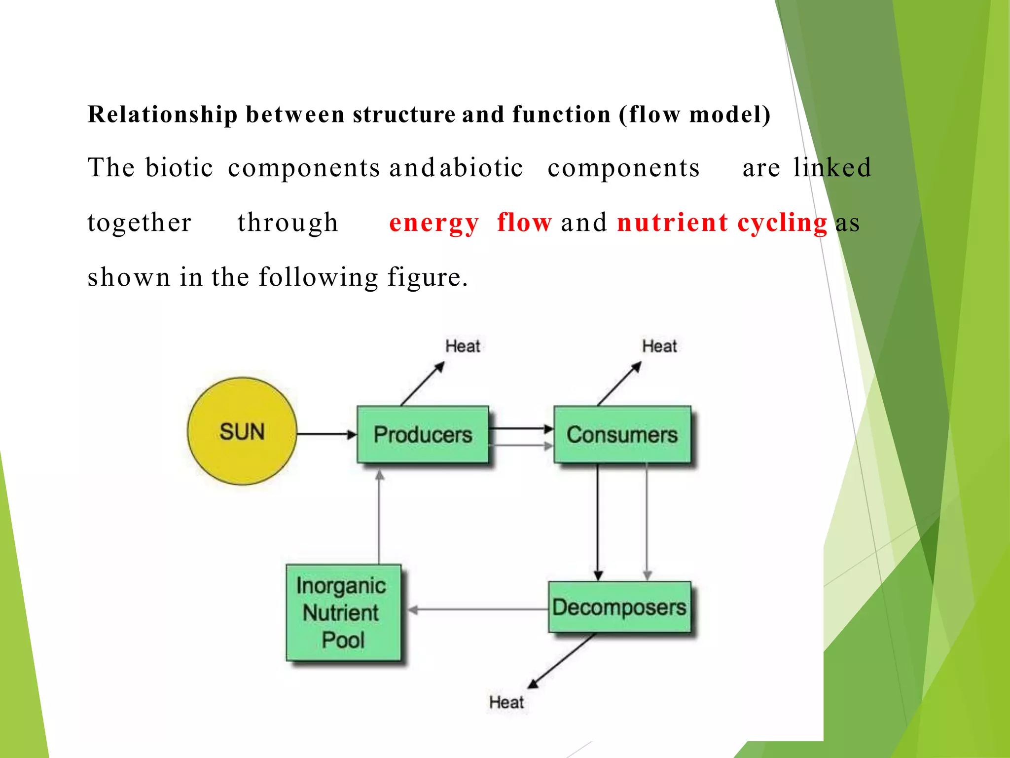 ecosystem -2 energyflow.pdf