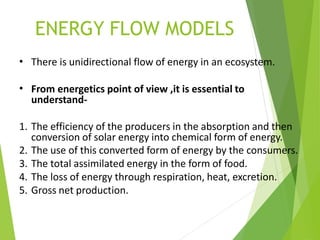 ecosystem -2 energyflow.pdf
