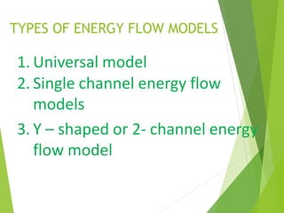 ecosystem -2 energyflow.pdf