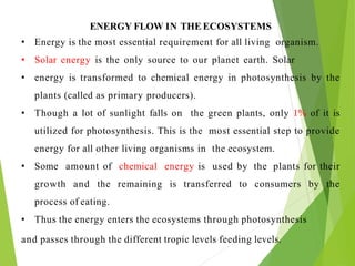 ecosystem -2 energyflow.pdf