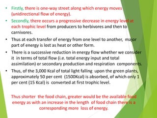 ecosystem -2 energyflow.pdf