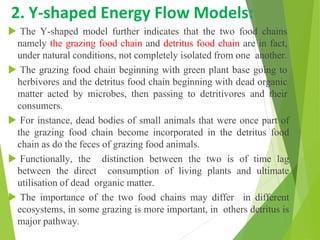 ecosystem -2 energyflow.pdf