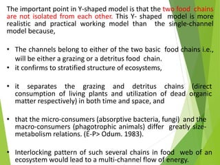 ecosystem -2 energyflow.pdf