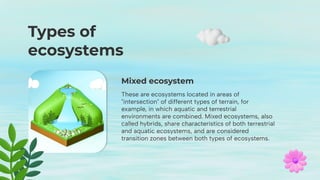 ECOSYSTEM | PDF