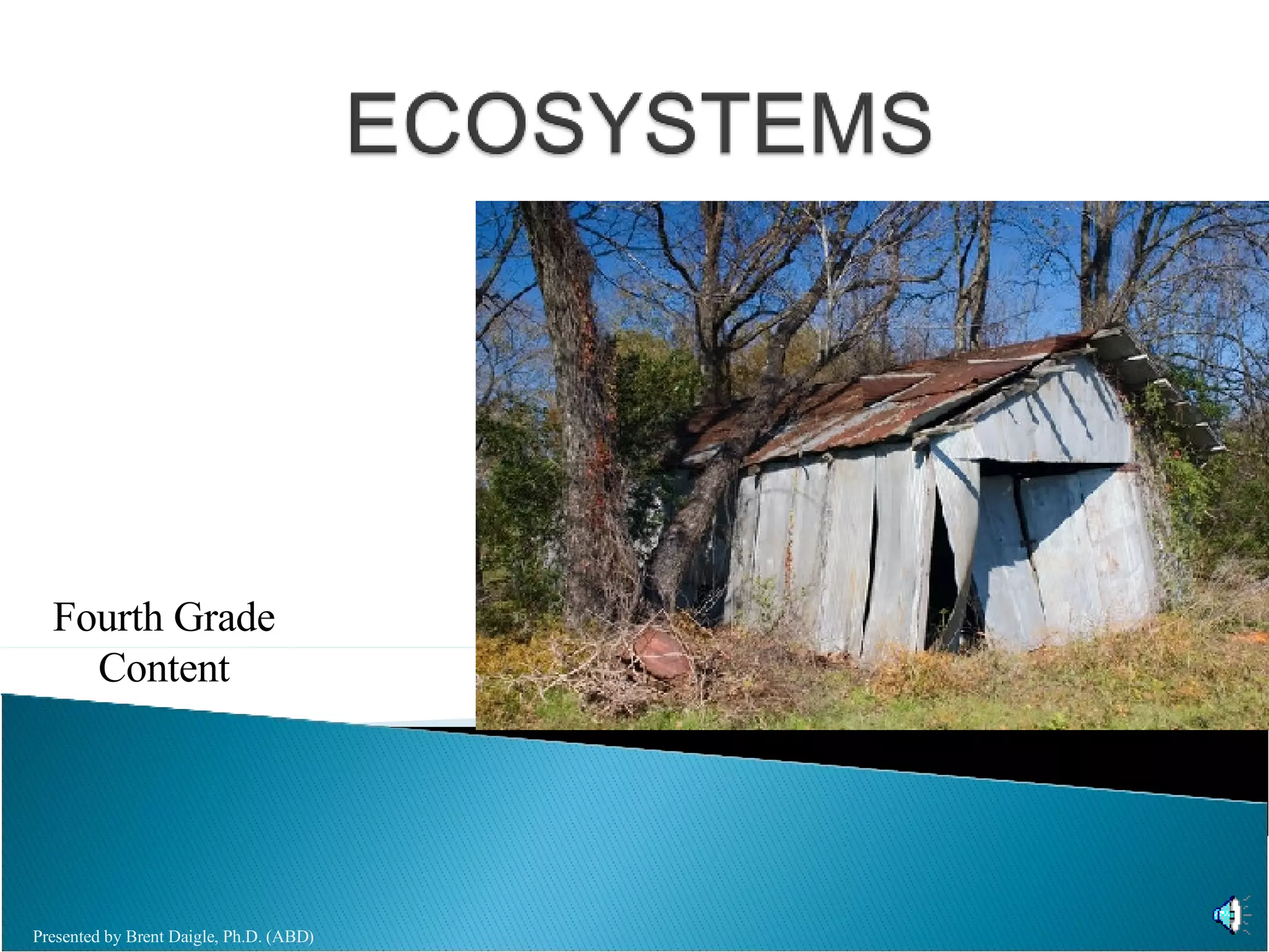 Ecosystem for elementary grade levels | PPT