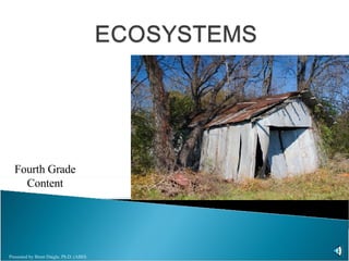 Ecosystem for elementary grade levels | PPT