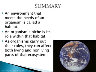 Ecosystem for elementary grade levels | PPT