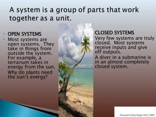 Ecosystem for elementary grade levels | PPT