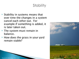 Ecosystem for elementary grade levels | PPT