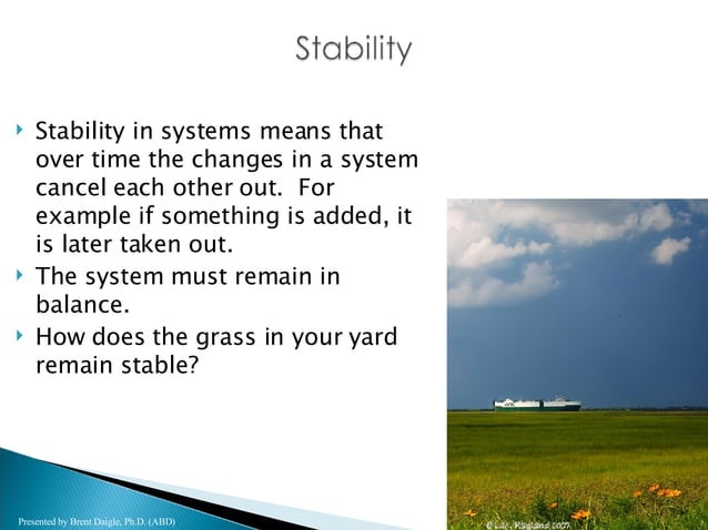 Ecosystem for elementary grade levels | PPT | Environment | Science