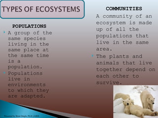 Ecosystem for elementary grade levels | PPT