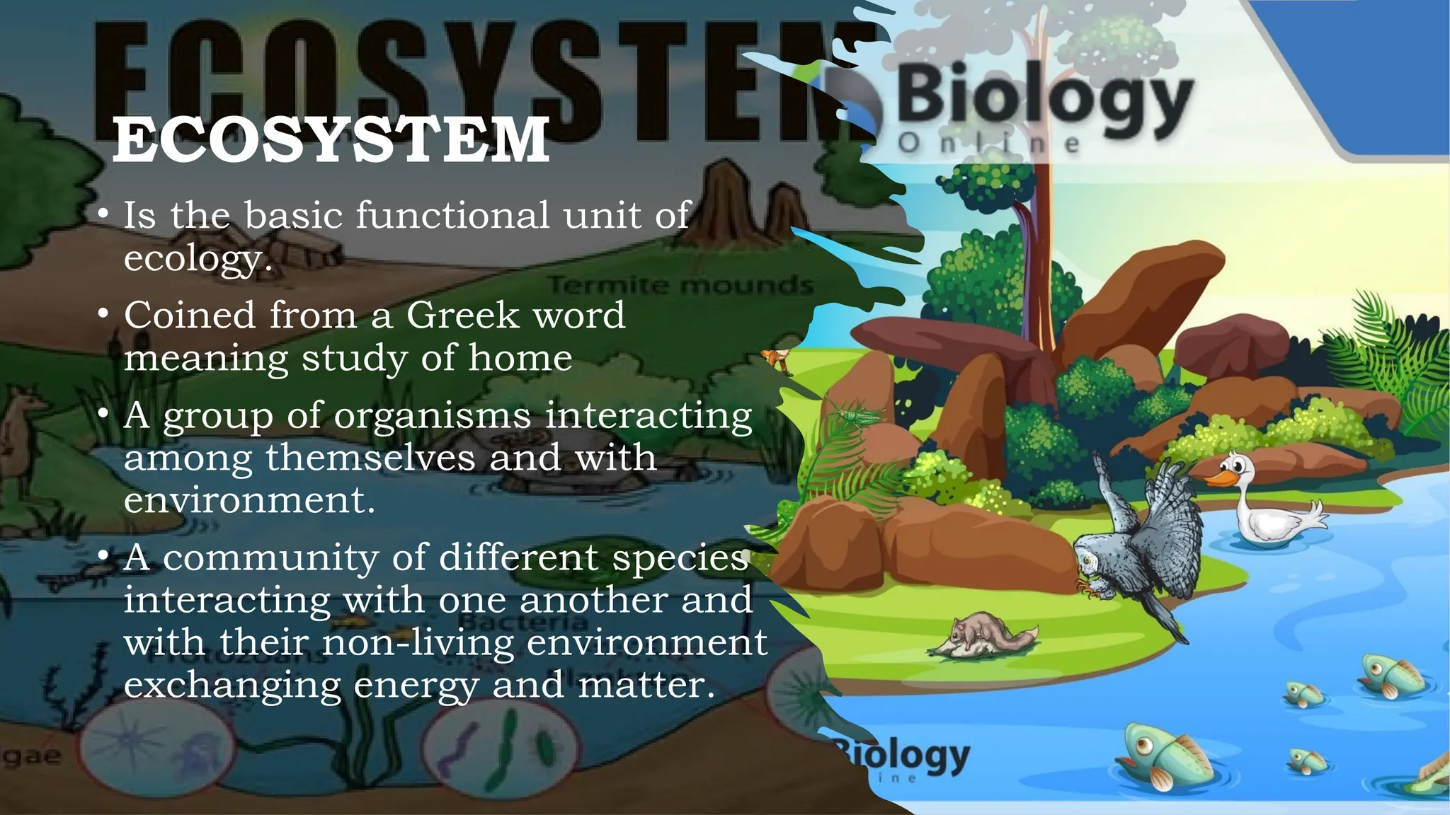 ECOSYSTEM-Group 4.pptx Ecosystem and it's structures | PPTX