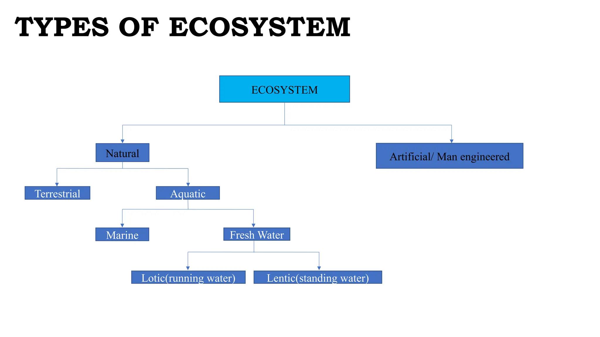 ECOSYSTEM-Group 4.pptx Ecosystem and it's structures | PPTX