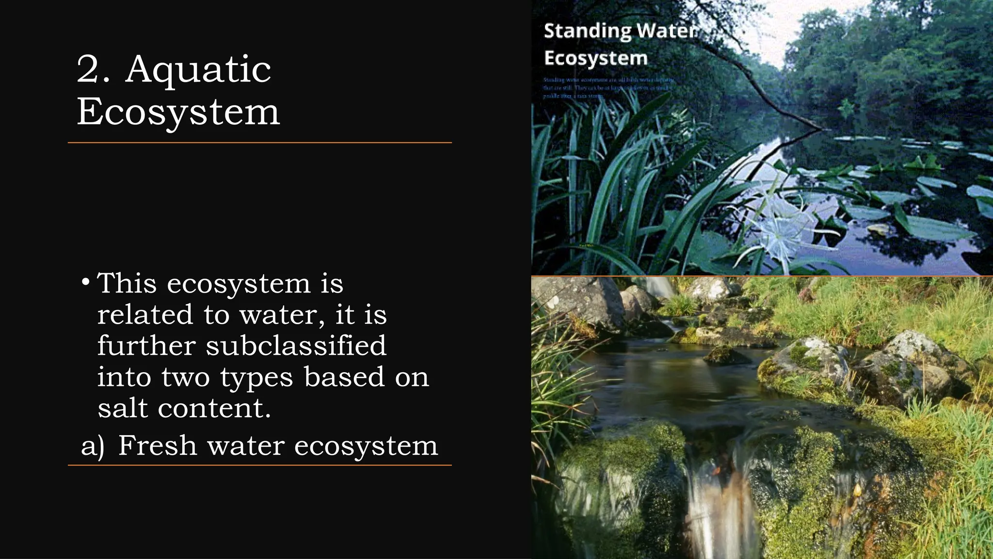 ECOSYSTEM-Group 4.pptx Ecosystem and it's structures | PPTX