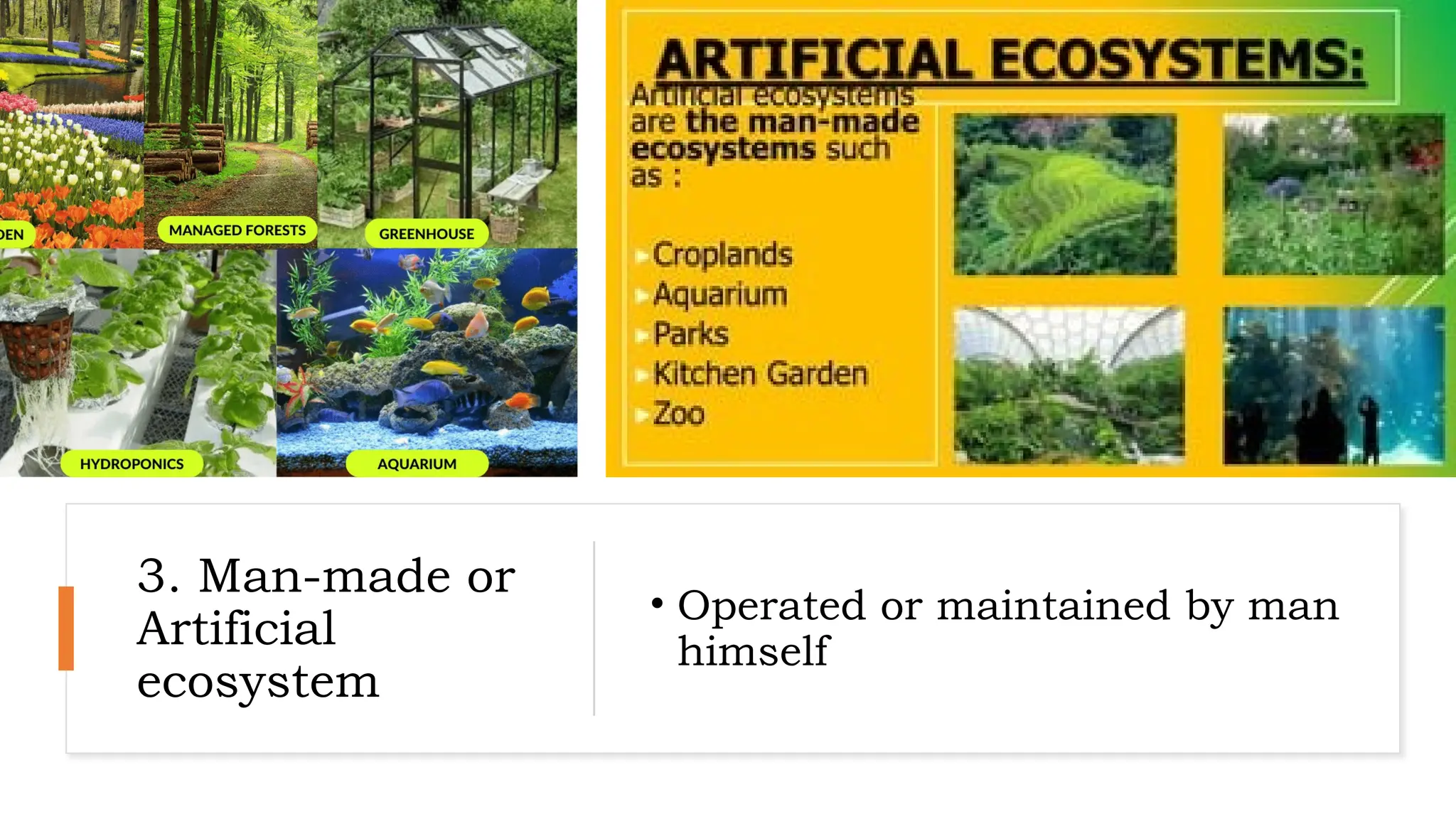 ECOSYSTEM-Group 4.pptx Ecosystem and it's structures | PPTX
