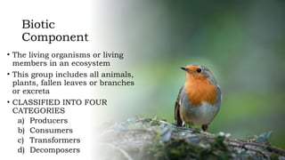 ECOSYSTEM-Group 4.pptx Ecosystem and it's structures | PPTX