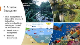 ECOSYSTEM-Group 4.pptx Ecosystem and it's structures | PPTX