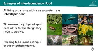 ECOSYSTEM - INTERDEPENDENCE OF ORGANISMS.pptx