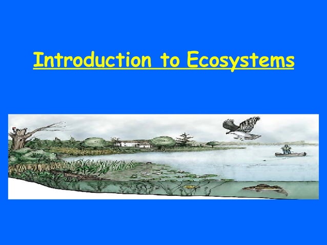 Ecosystem Introductory Presentation | PPT