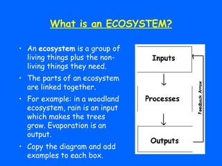 Ecosystem Introductory Presentation | PPT