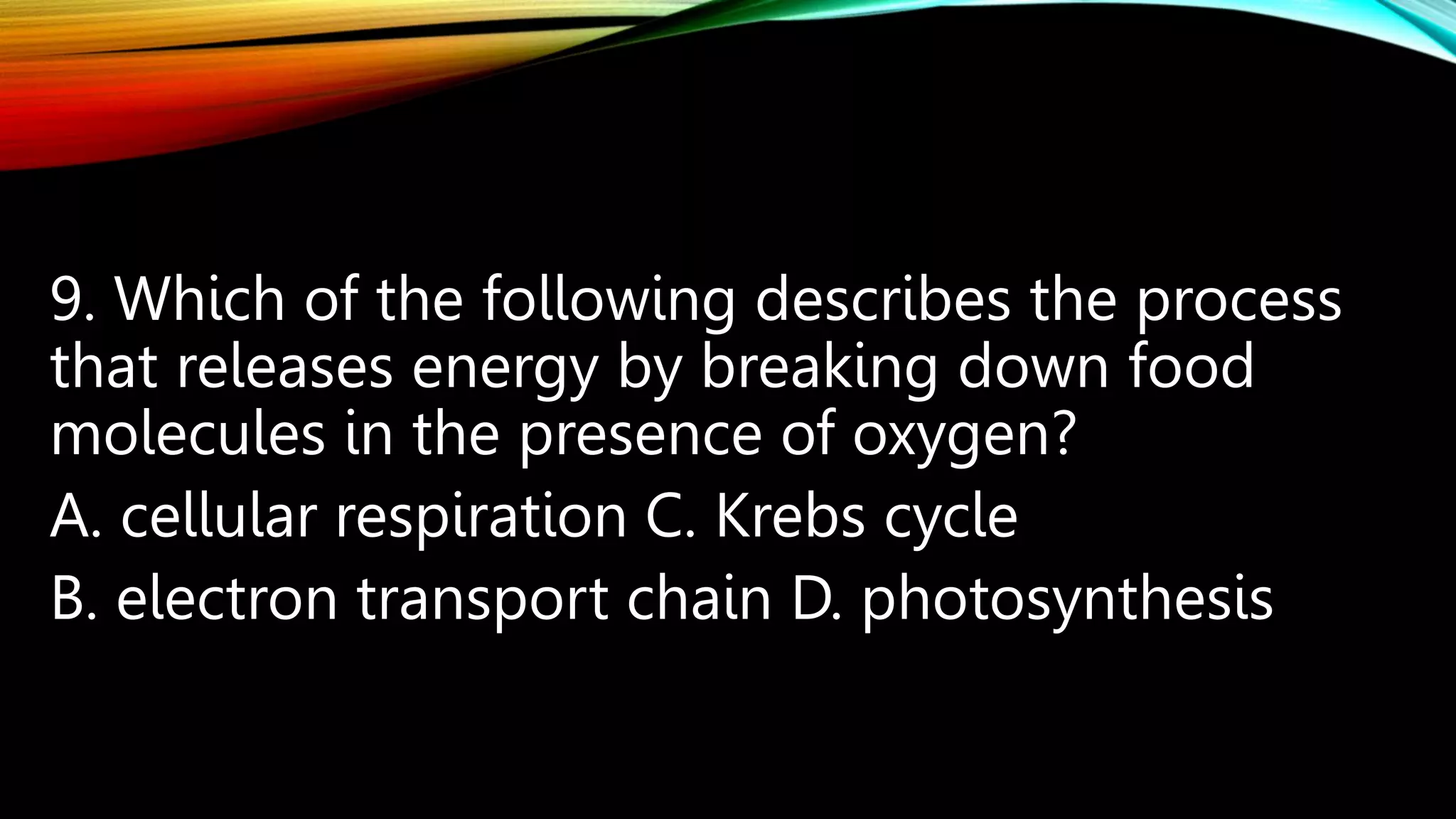 ECOSYSTEM-Life-Energy.pptx