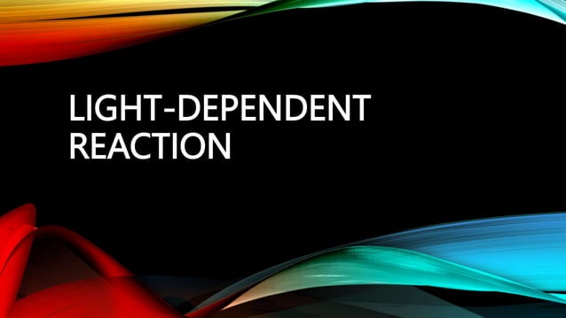 ECOSYSTEM-Life-Energy.pptx | Science