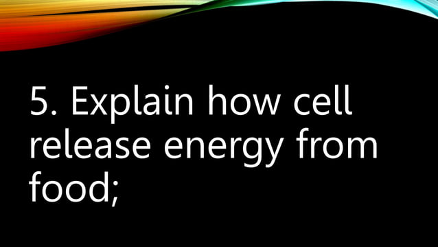 ECOSYSTEM-Life-Energy.pptx | Science