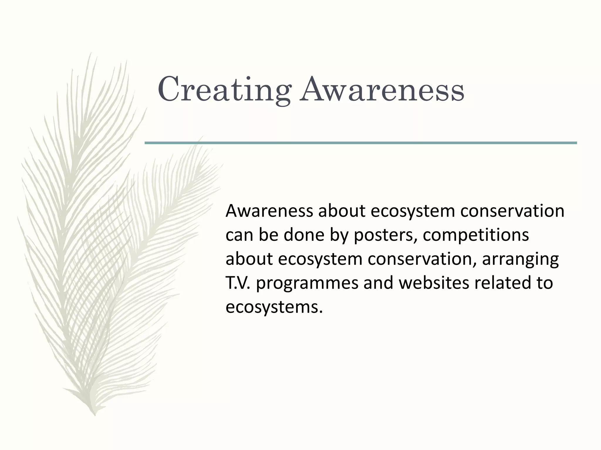 ECOSYSTEM-PPT.pptx