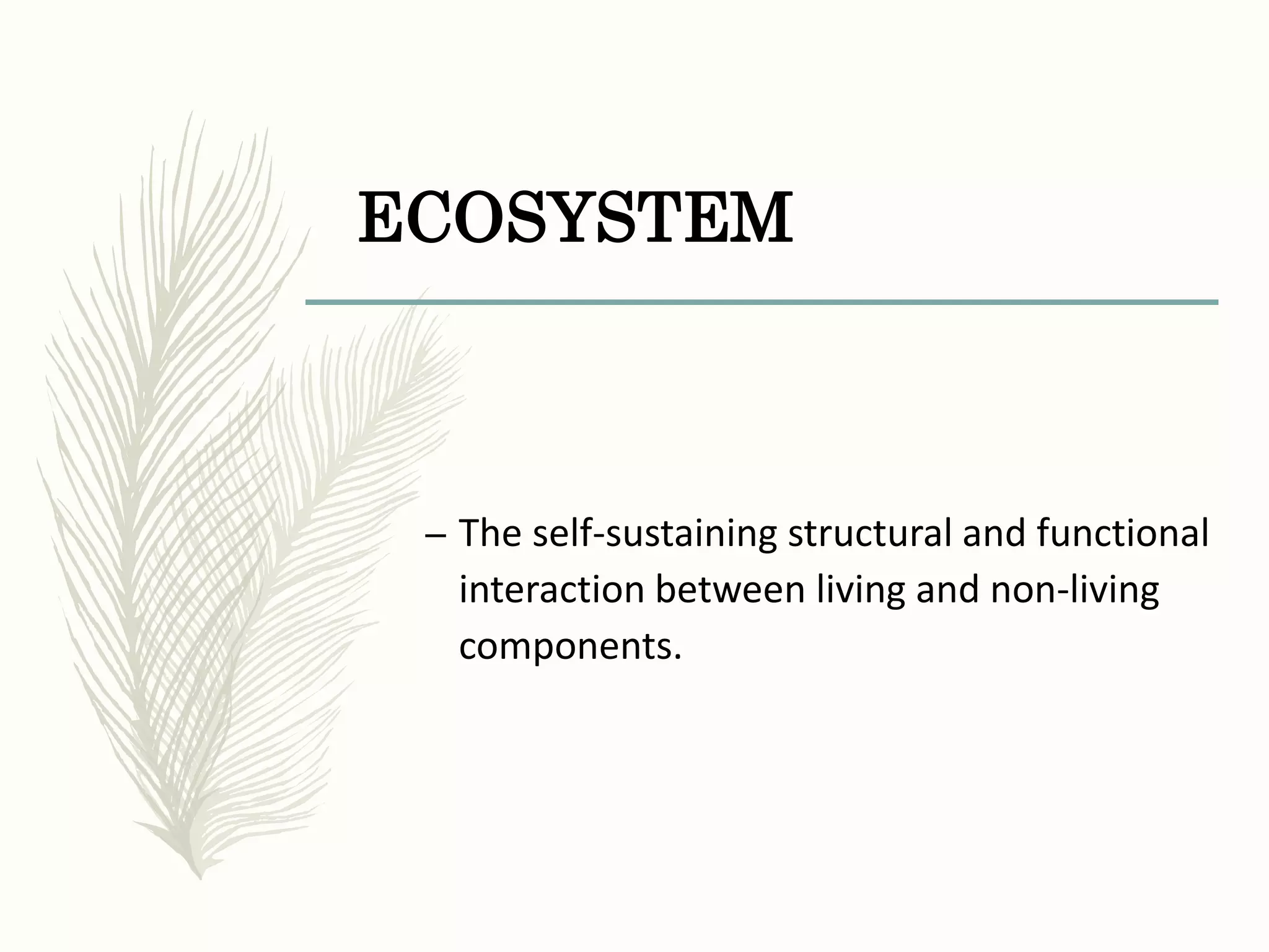 ECOSYSTEM-PPT.pptx