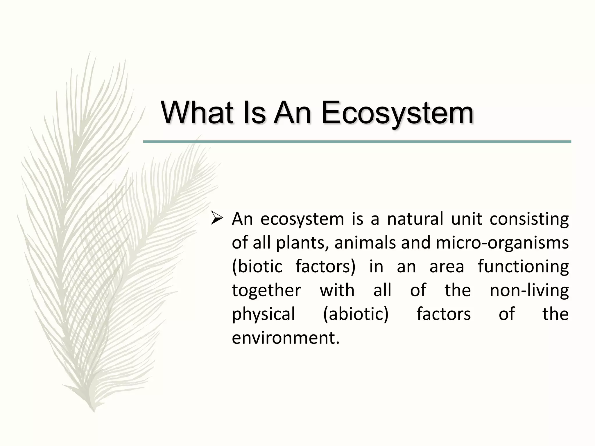ECOSYSTEM-PPT.pptx