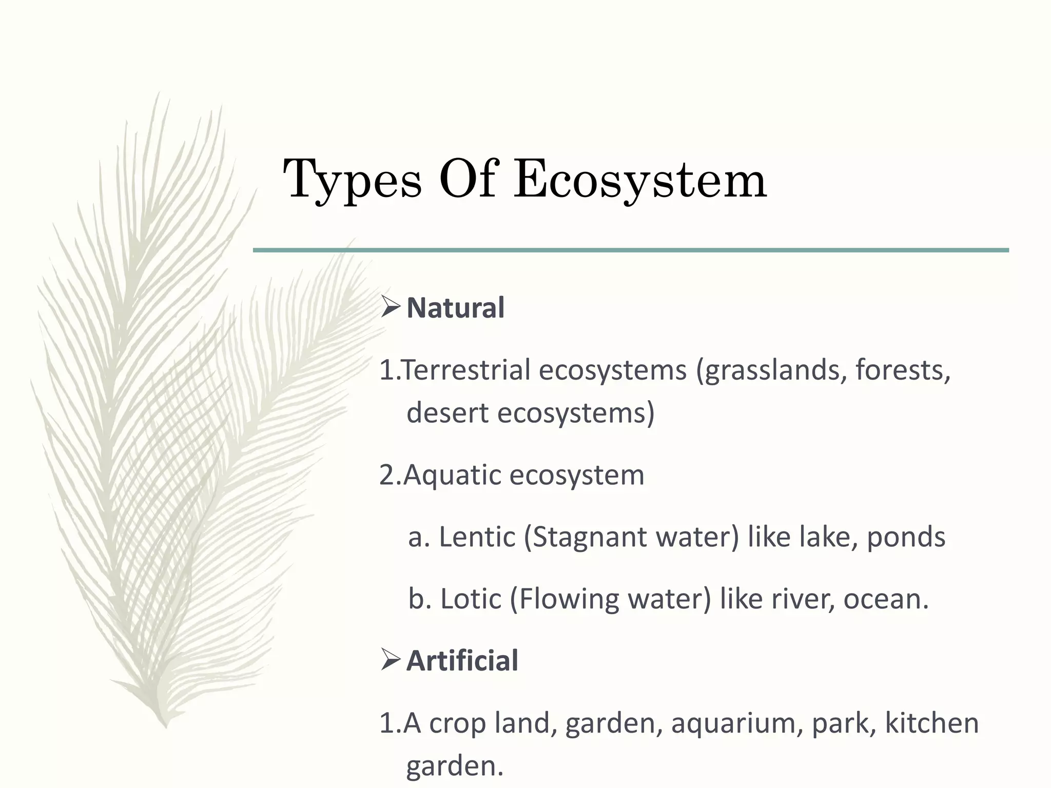 ECOSYSTEM-PPT.pptx