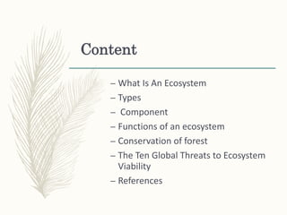 ECOSYSTEM-PPT.pptx
